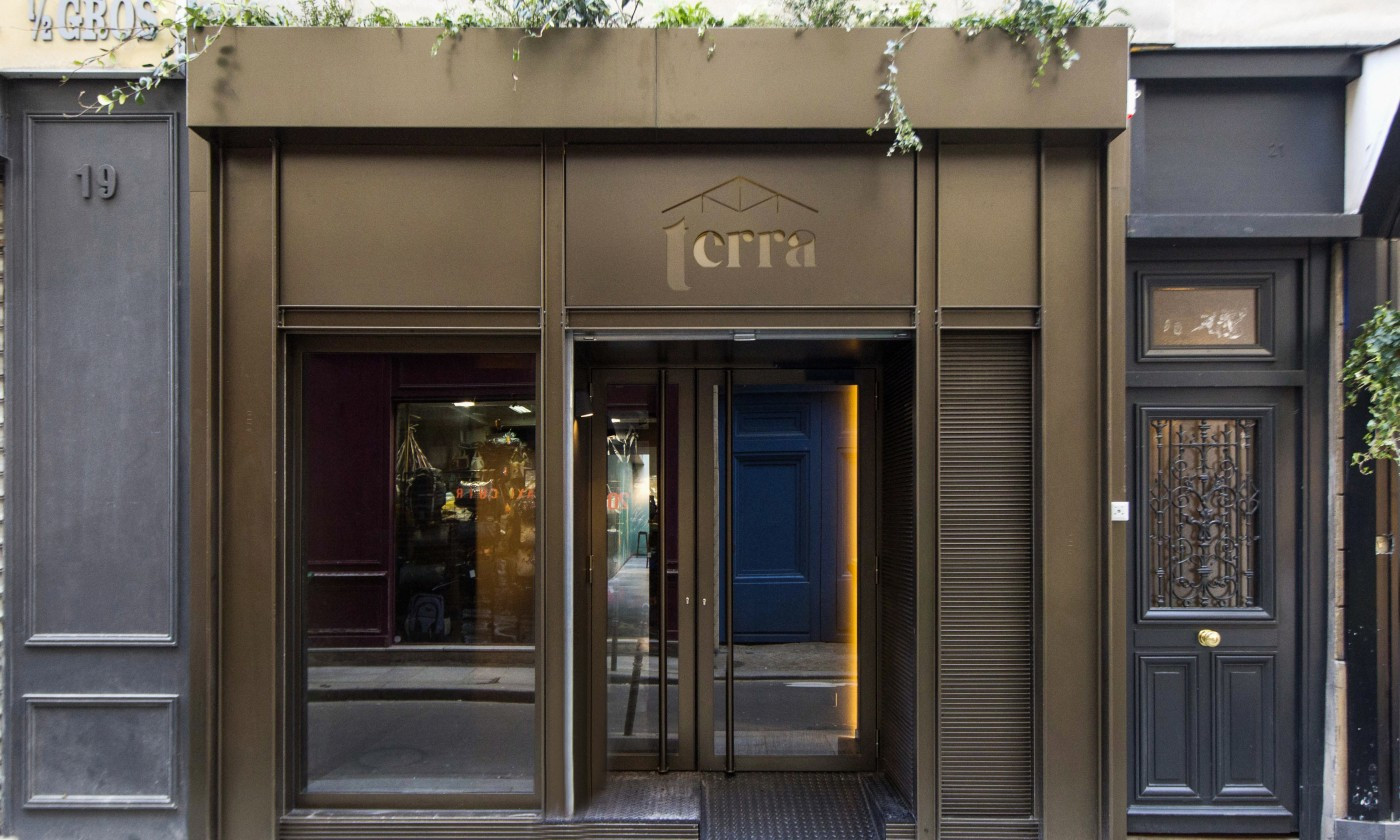 Photos, atmosphere, dishes - TERRA Restaurant - Paris