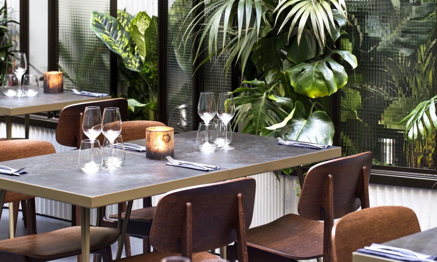 Photos, atmosphere, dishes - TERRA Restaurant - Paris